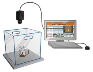 Interactive Tutorial: Computer Vision Tools for Measuring Behavior ...