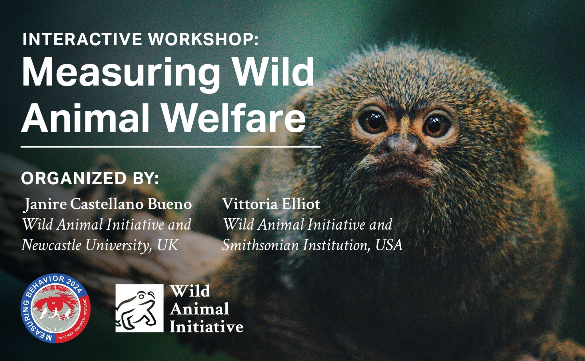 Interactive Workshop: Measuring Wild Animal Welfare - Measuring Behavior